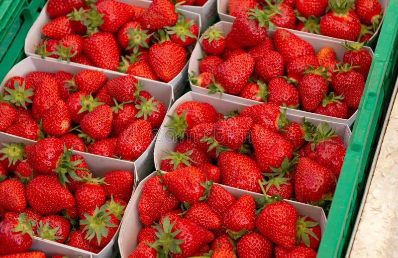Strawberries are Sold in the Store Stock Image - Image of sold ...