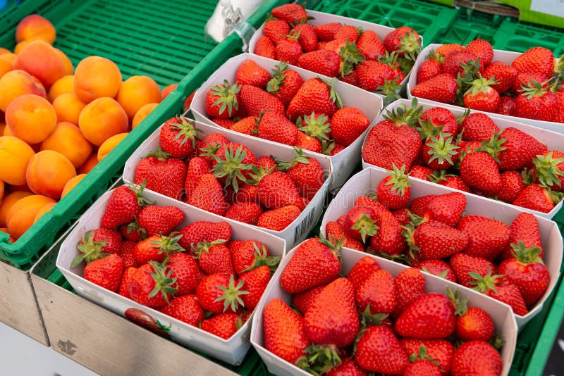 Strawberries are Sold in the Store Stock Photo - Image of basket, tasty ...