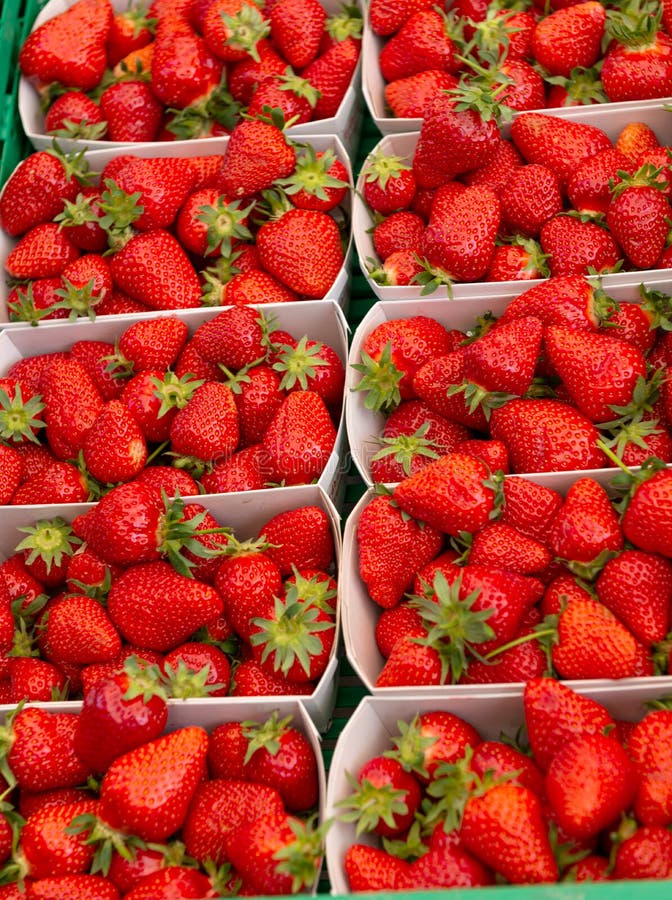 Strawberries are Sold in the Store Stock Image - Image of juicy ...