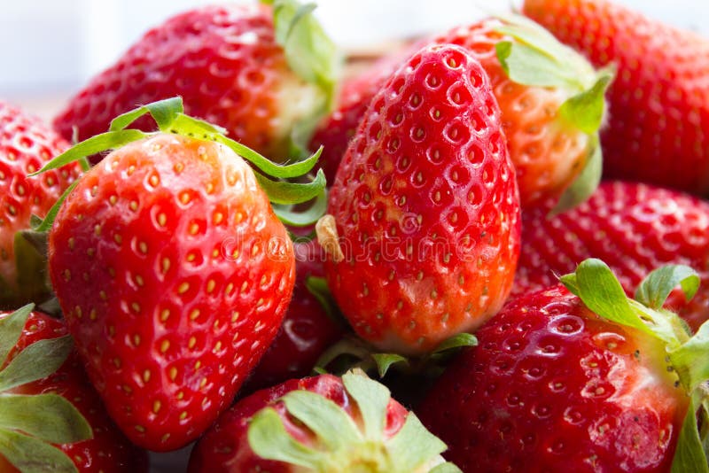 Strawberries in the Spring Sunshine Stock Photo - Image of fruity ...