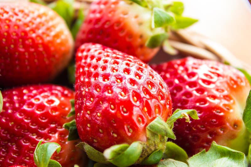 Strawberries in the Spring Sunshine Stock Image - Image of green ...