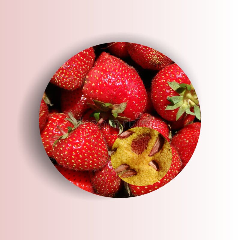Strawberries Texture Inside a Circle Shape Stock Image - Image of ...