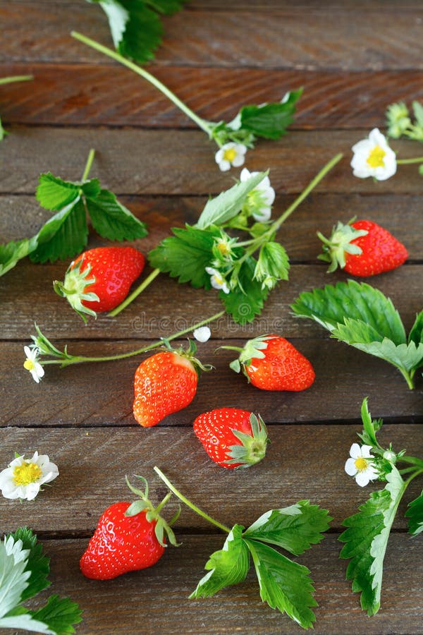 Strawberries on a Wooden Table, Top View Stock Image - Image of table ...