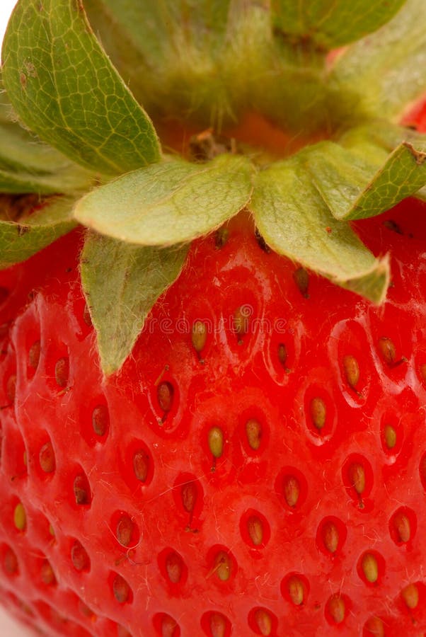 Strawberry stock image. Image of fruit, macro, strawberries - 1007507