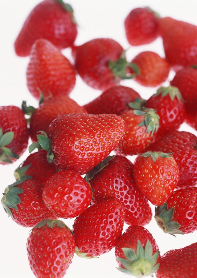 Rubus Illecebrosus, Japanese Raspberry Stock Photo - Image of japan ...