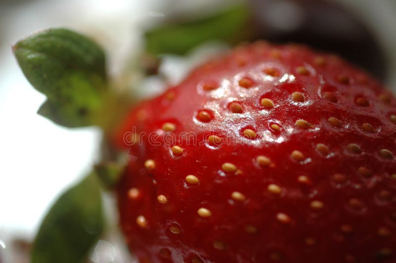 Strawberry stock image. Image of fresh, indoor, closeup - 1037565