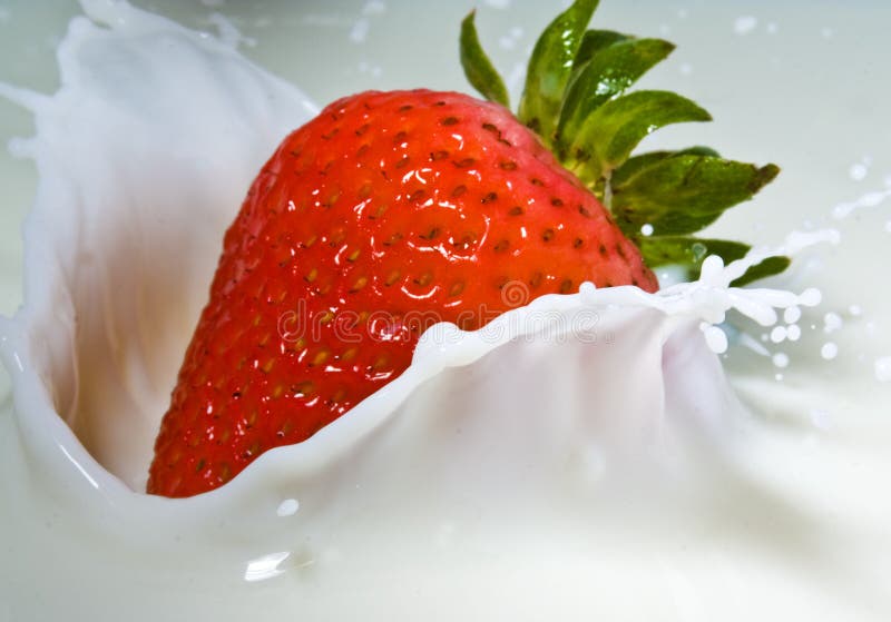 Strawberry stock photo. Image of eating, hitting, milk - 16447660