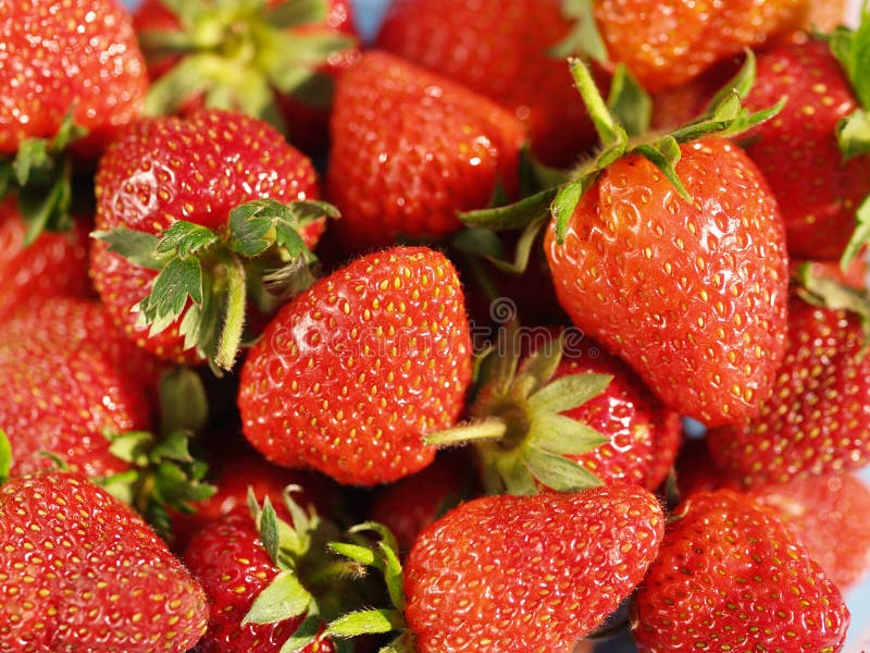 Strawberry Picture. Image: 18562350