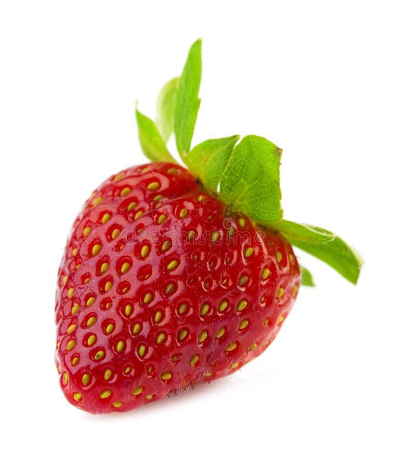Strawberry fruit stock photo. Image of detail, berry - 11645842