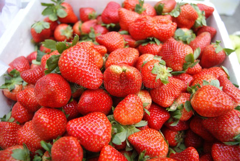 632 Mature People Like To Stock Photos - Free & Royalty-Free Stock ...