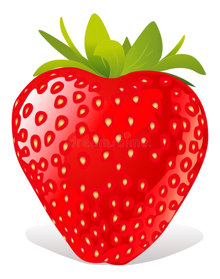 Strawberry Stalk Stock Illustrations – 689 Strawberry Stalk Stock ...