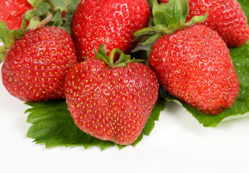 Strawberry stock photo. Image of fruit, edible, colorful - 5466738