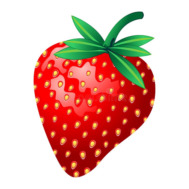 Stylized Strawberry Isolated Stock Illustration - Illustration of ...