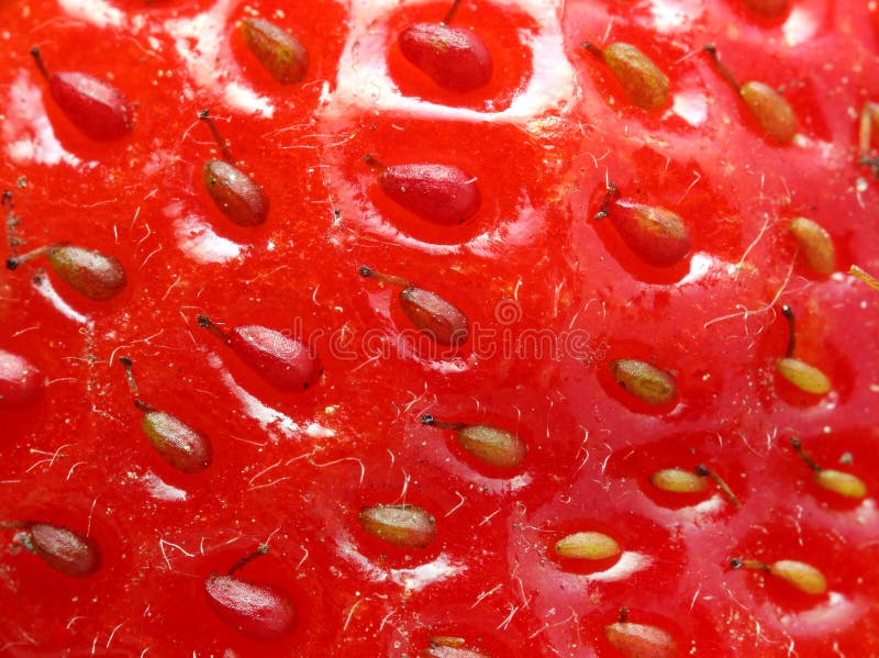 Strawberry texture stock photo. Image of nourishing, energy - 16801702
