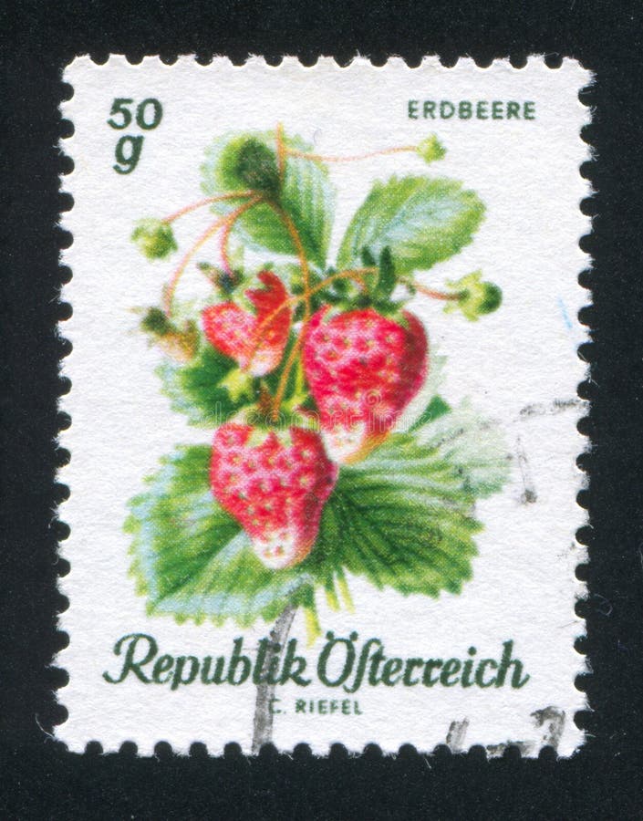 Strawberry editorial photography. Image of nature, envelope - 294315472