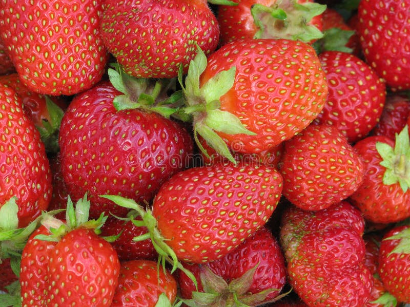 Strawberry background stock image. Image of agriculture - 6399349