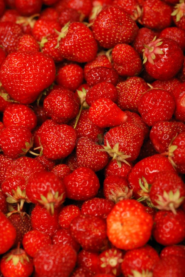 Strawberry background stock photo. Image of beautiful - 7699742