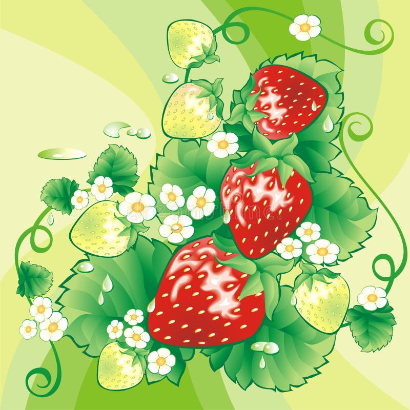 Strawberry border stock vector. Illustration of carved - 17319952