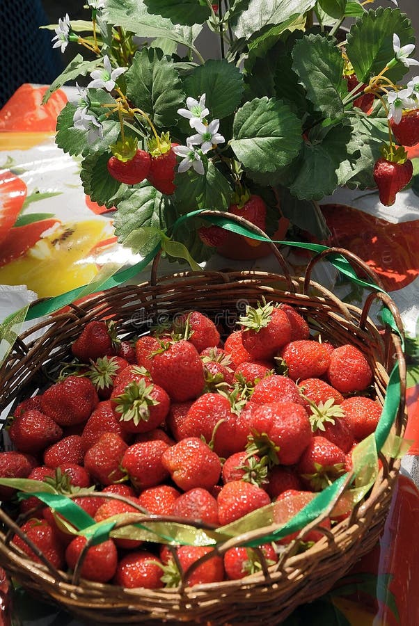 Strawberry in a basket stock image. Image of healthy - 33220345