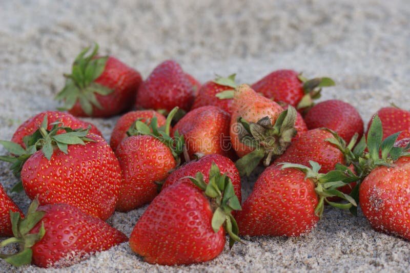 Strawberry on the Beach, Sea Stock Image - Image of fruit, exotic: 92619945