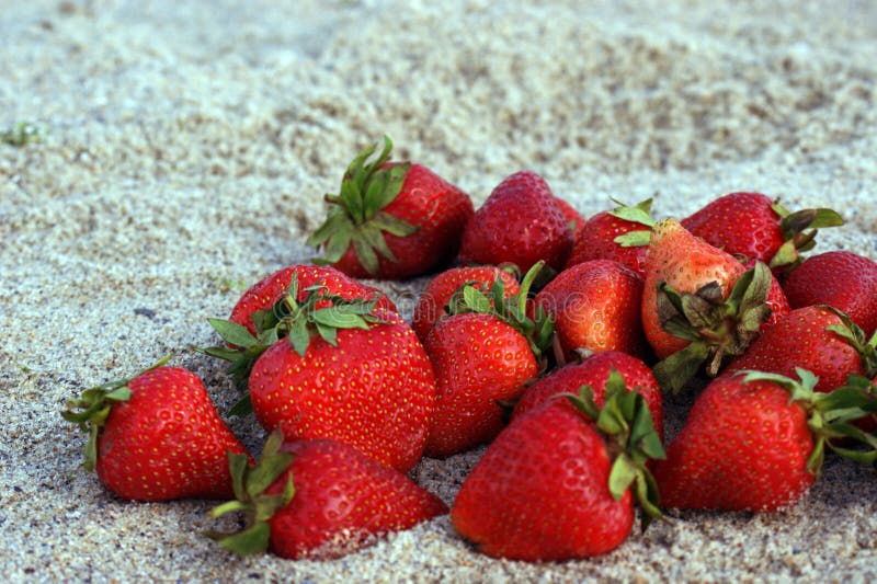 Strawberry on the Beach, Sea Stock Image - Image of fruit, exotic: 92619945