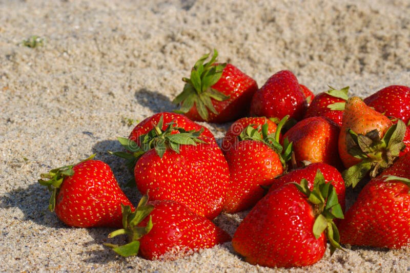 Strawberry on the Beach, Sea Stock Image - Image of fruit, exotic: 92619945