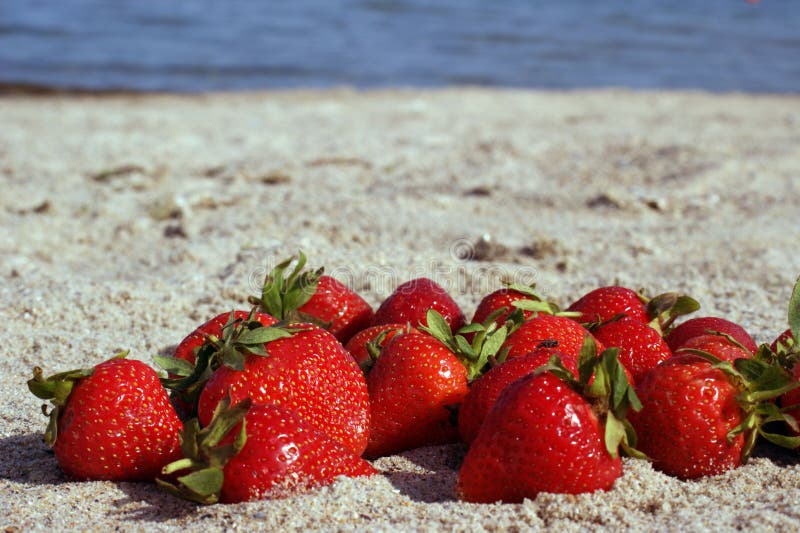 Strawberry on the Beach, Sea Stock Photo - Image of latin, cold: 92644888