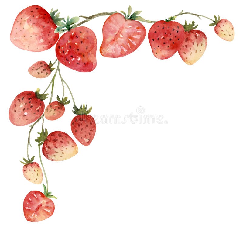 Strawberry and Leaves Border Corner Frame Drop Watercolor Clip Art ...
