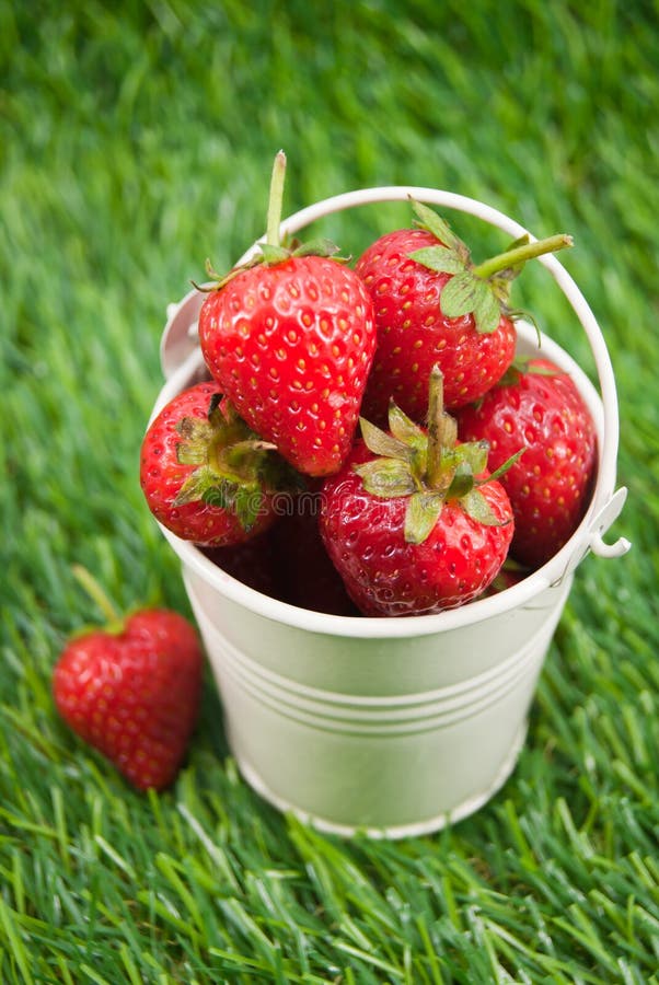 Strawberry Bucket Placed on the Grass. Stock Image - Image of juicy ...