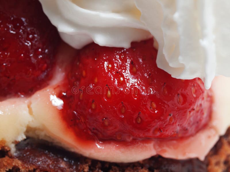 Strawberry Cake with Cream. Macro Shot Stock Photo - Image of healthy ...