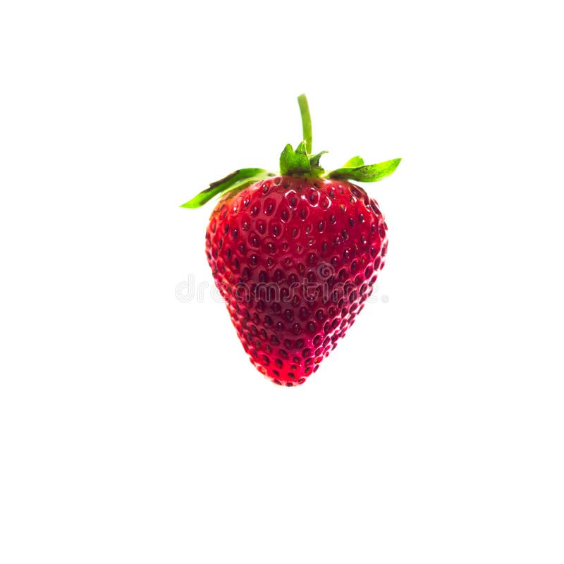 Strawberry Cherry Red on White Isolate,Front View Isolated Whit Stock ...