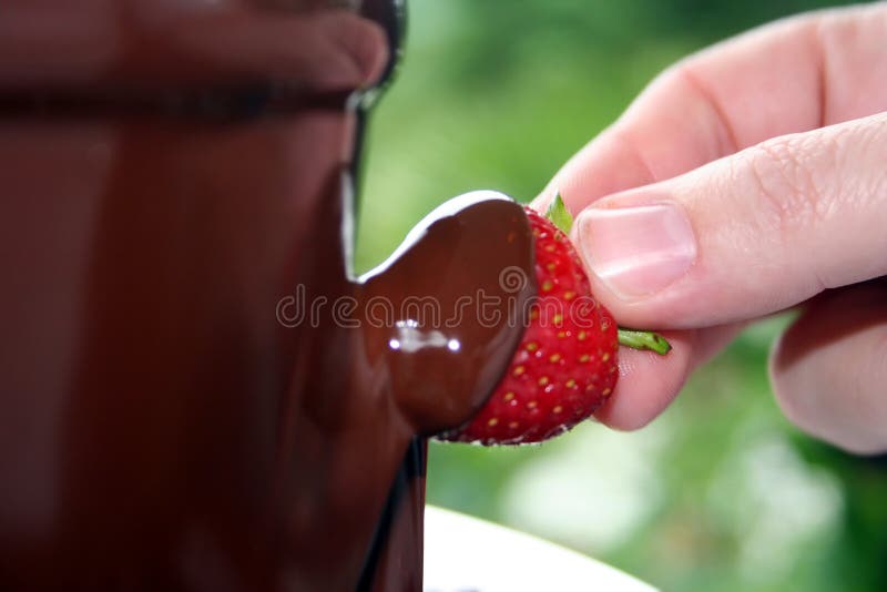 Strawberry Chocolate Dessert Stock Image - Image of dessert, ripe: 2617163