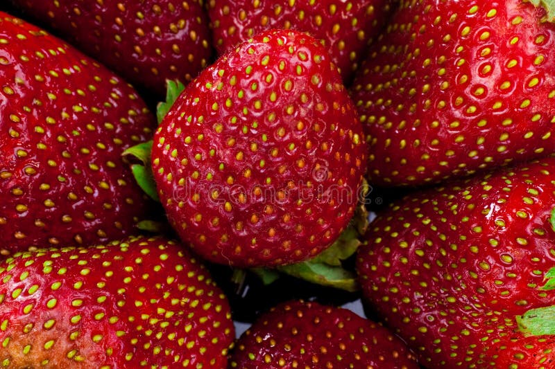 Strawberry. Close up. stock image. Image of garden, leaf - 13062907
