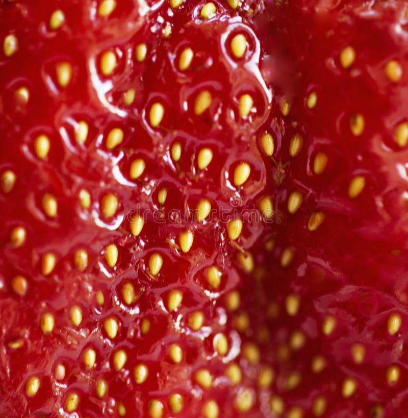 Strawberry Close Up As Texture Stock Photo - Image of blured, texture ...