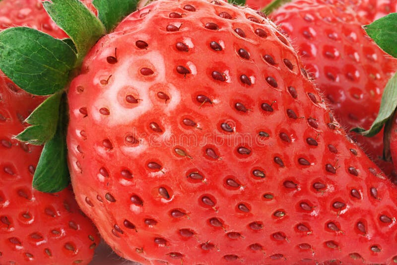 Strawberry close-up macro stock photo. Image of natural - 18459796