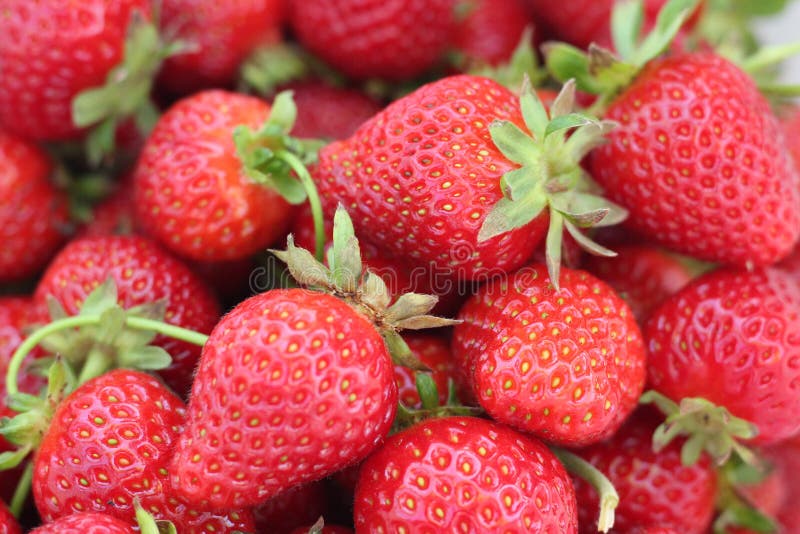 Strawberry Close Up Photo Picture. Image: 117917299