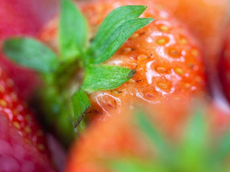 Strawberry Close-up, Strawberries Background. Stock Photo - Image of ...
