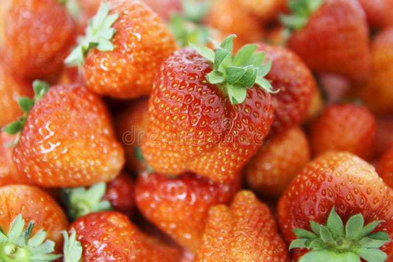 Strawberry closeup stock image. Image of fresh, color - 16244819
