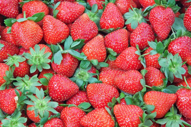 Strawberry closeup. stock photo. Image of color, group - 25294762