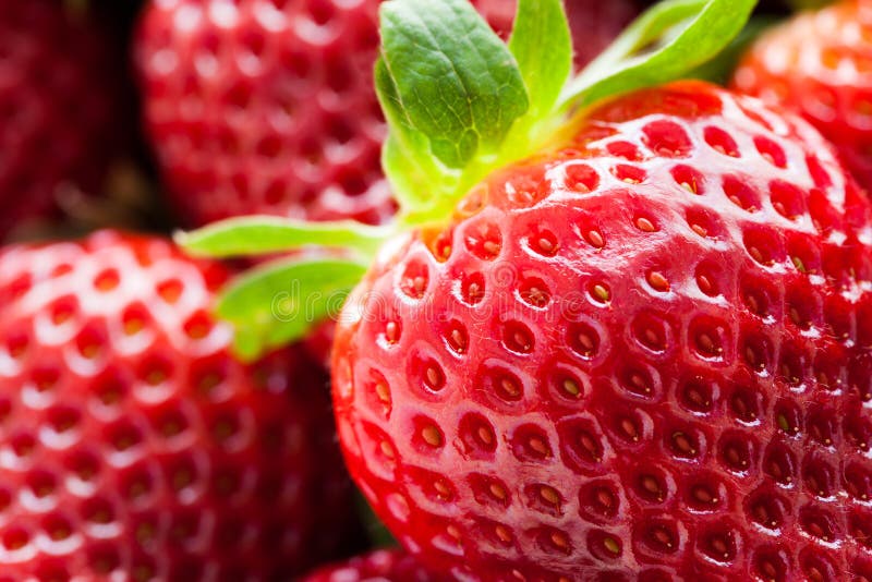 Strawberry closeup stock image. Image of eating, green - 29533979