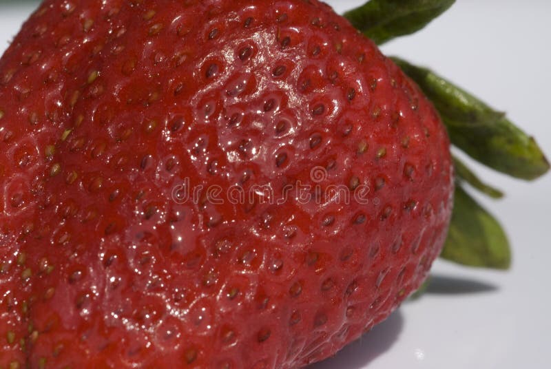 Strawberry closeup stock photo. Image of detailed, snack - 5455478