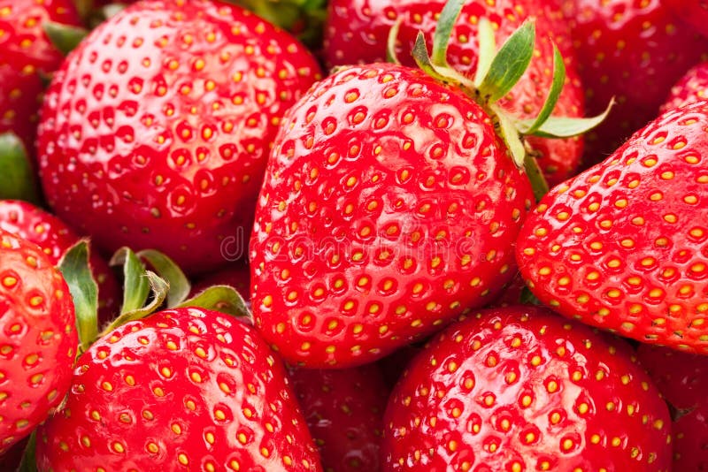 Strawberry closeup stock image. Image of studio, vivid - 31171323