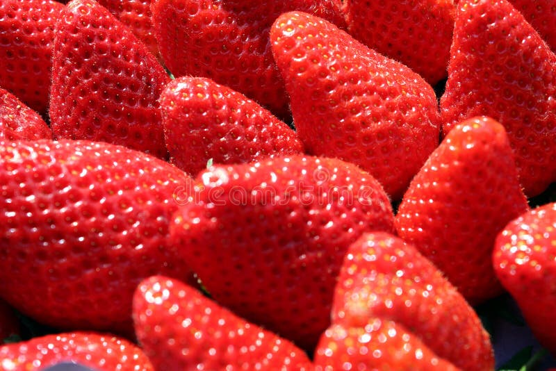 Strawberry stock image. Image of mature, juicy, closeup - 30622753