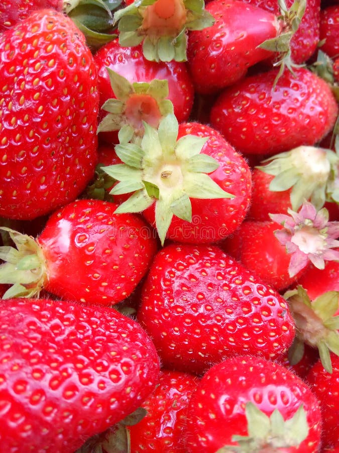 Strawberry collage stock image. Image of strawberry - 249174527