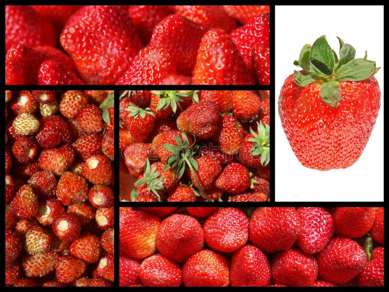 Strawberry collage stock photo. Image of vegetarian, nutrition - 54143594