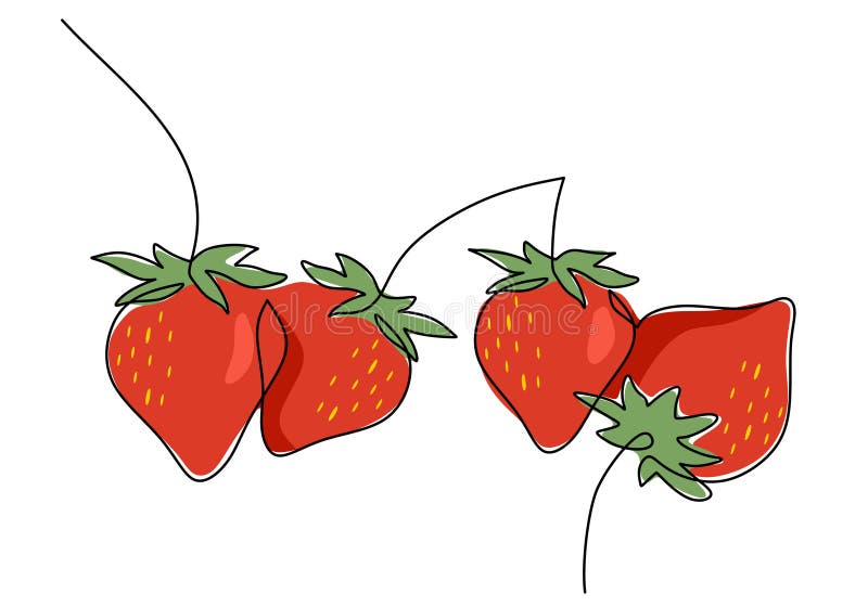 Strawberry Continuous One Line Drawing, Fruit Vector Illustration Stock ...