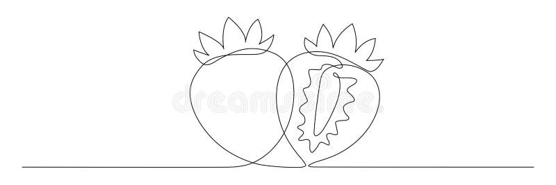 Strawberry Continuous One Line Drawing, Fruit Vector Illustration Stock ...