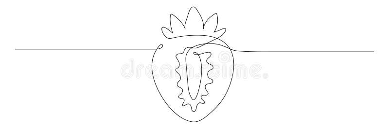 Strawberry Continuous One Line Drawing Stock Illustration ...