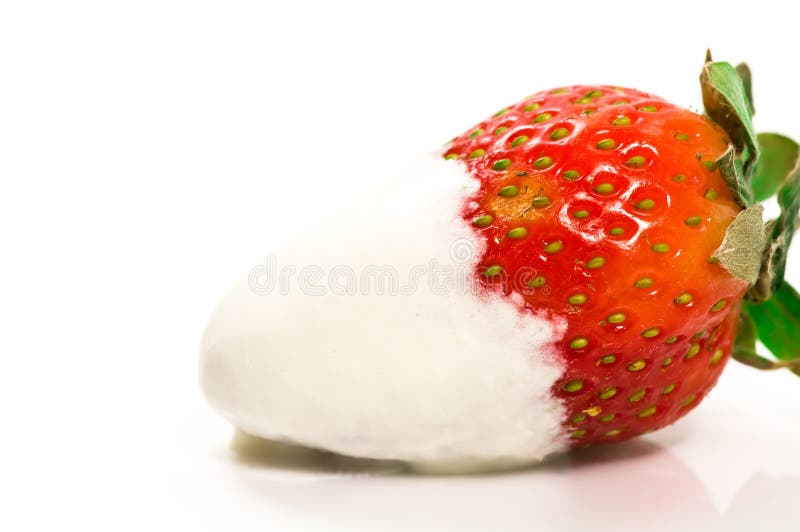 Strawberry and cream stock image. Image of delicious, nutrition - 4137995