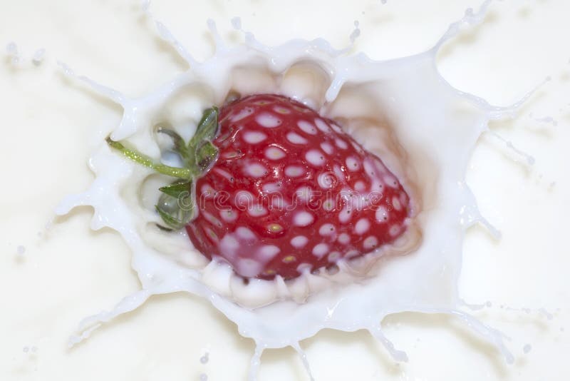 Strawberry cream splash stock photo. Image of dipping - 27560144